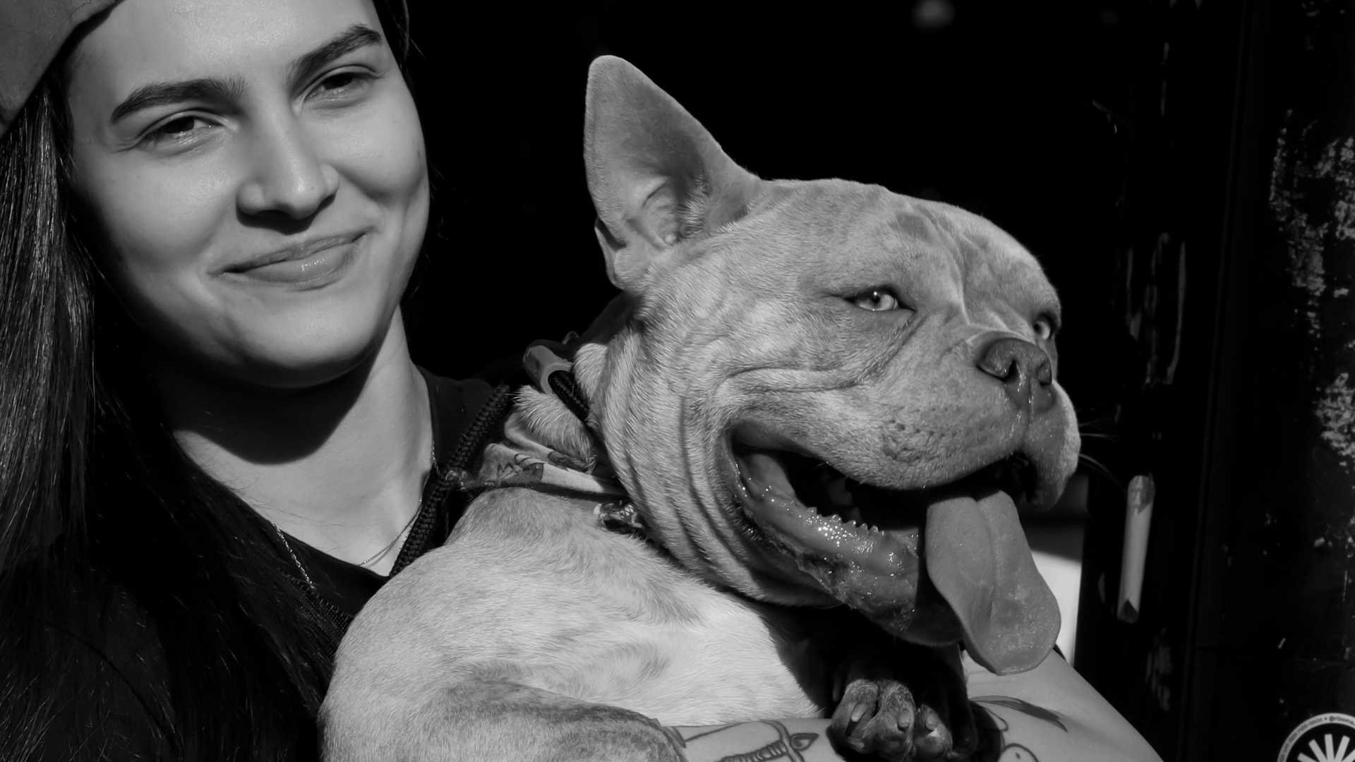 The Difference Between XL Bullies and Other Bully Breeds - Texas ...